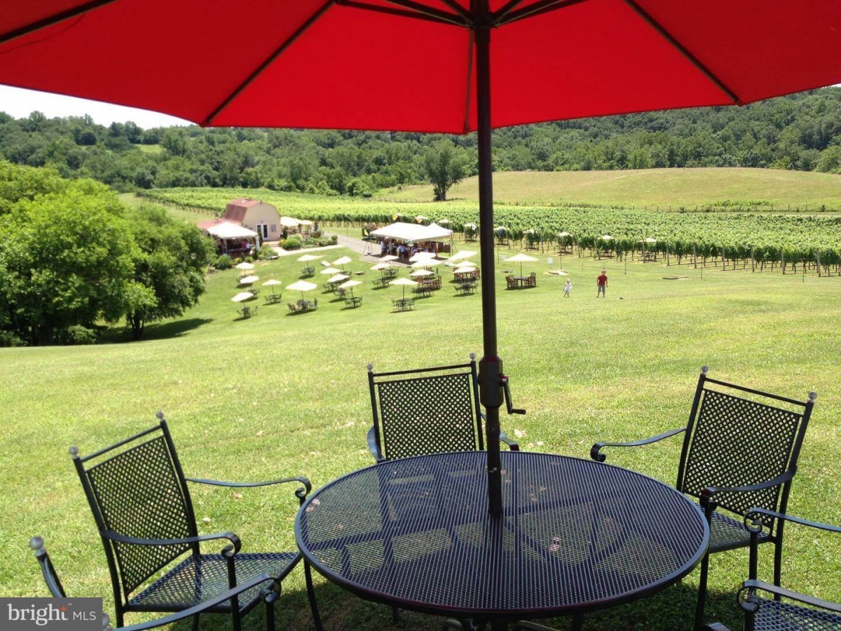 Three Fox Vineyards - SOLD - Vineyards and Wineries for Sale