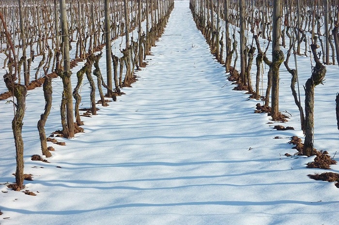 Wines to Keep You Warm All Winter Long - Vineyards and Wineries for Sale