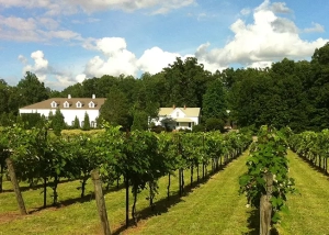 North Carolina Vineyards for Sale - Vineyards and Wineries for Sale